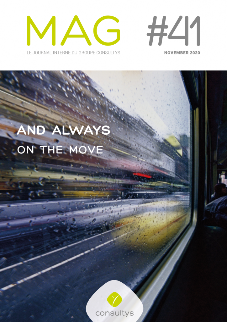 MAG#41 | November 2020 - Consultys